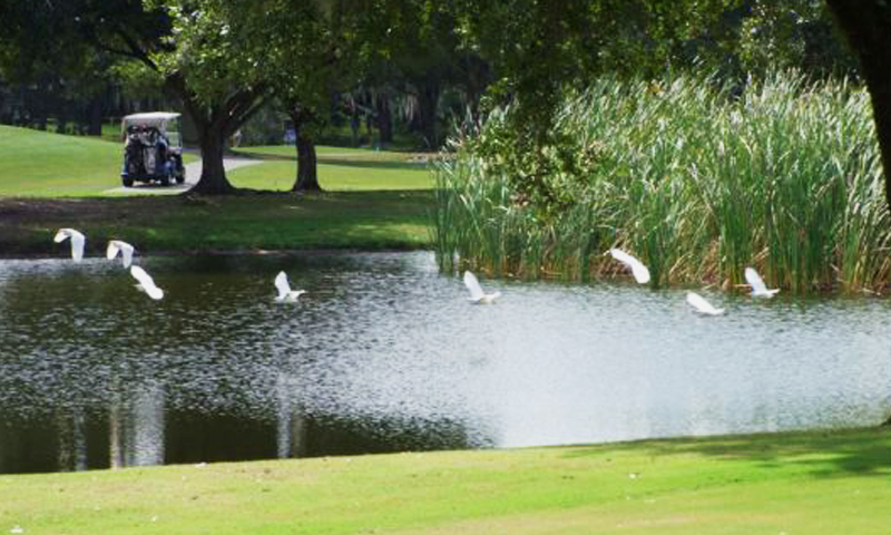 Portfolio - Pope Golf